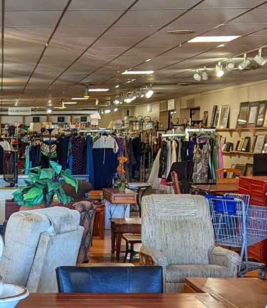 best north carolina shop ftr