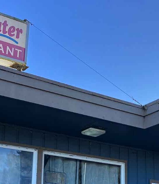 best seafood washington shack ftr