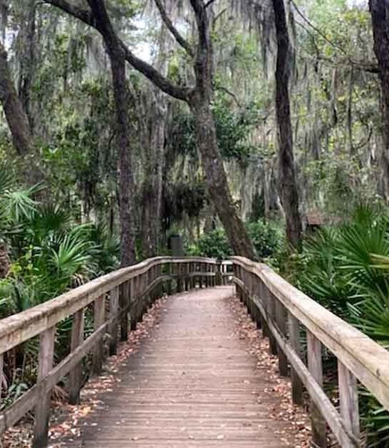 best walking path florida ftr