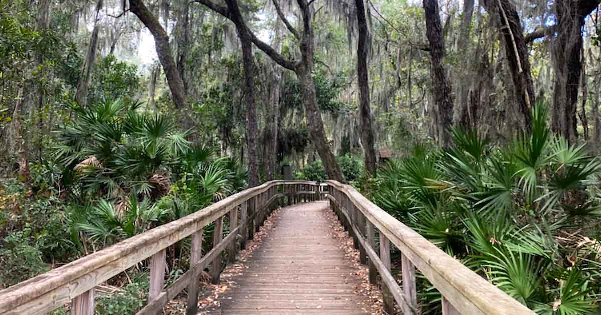 The Best Walking Path In Florida Is One You've Probably Never Heard Of