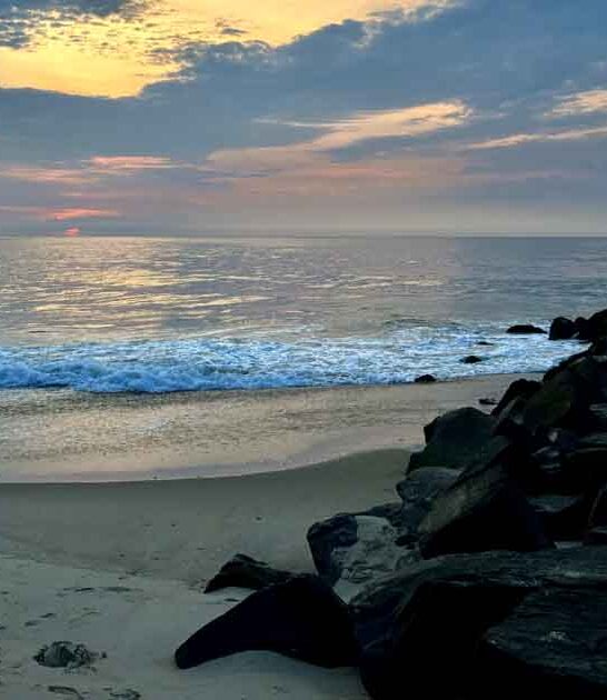 bioluminescent beach new jersey ftr