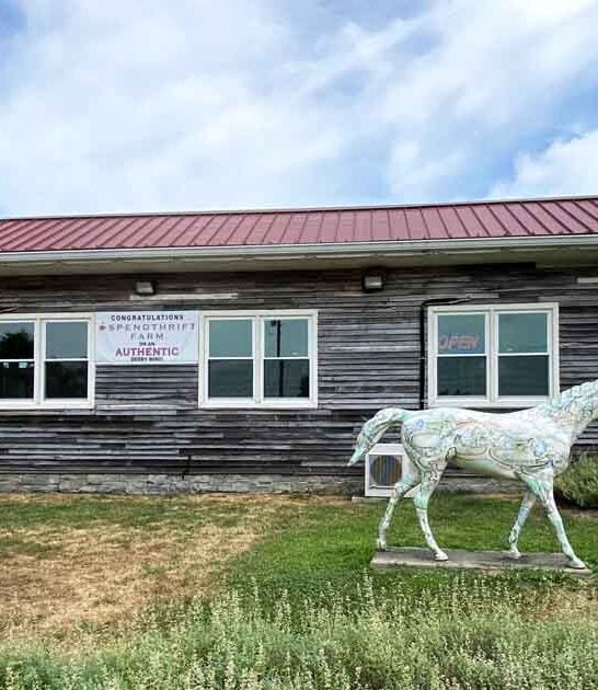 biscuits gravy kentucky gem ftr