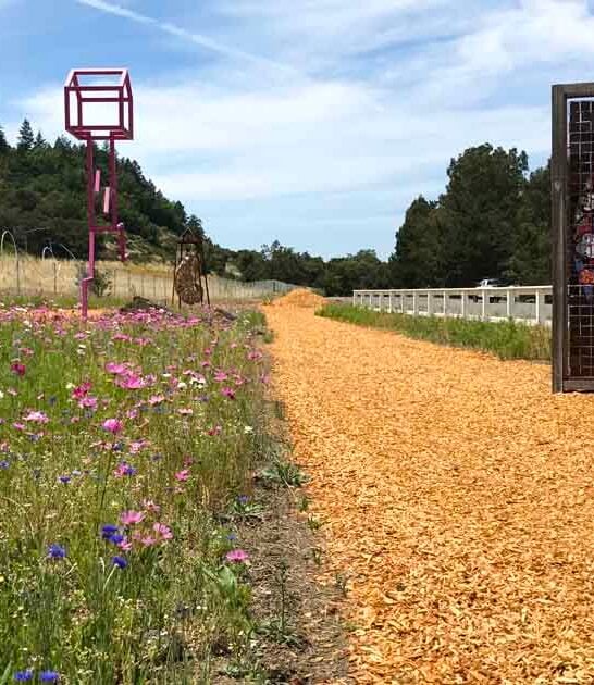 bizarre sculpture trail california ftr