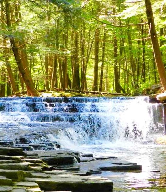 breath pennsylvania state park ftr