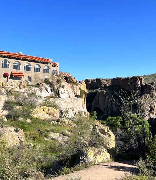 breathtaking arizona garden ftr