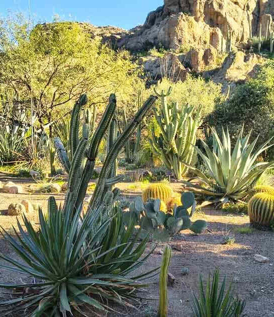 bucket list arizona garden ftr