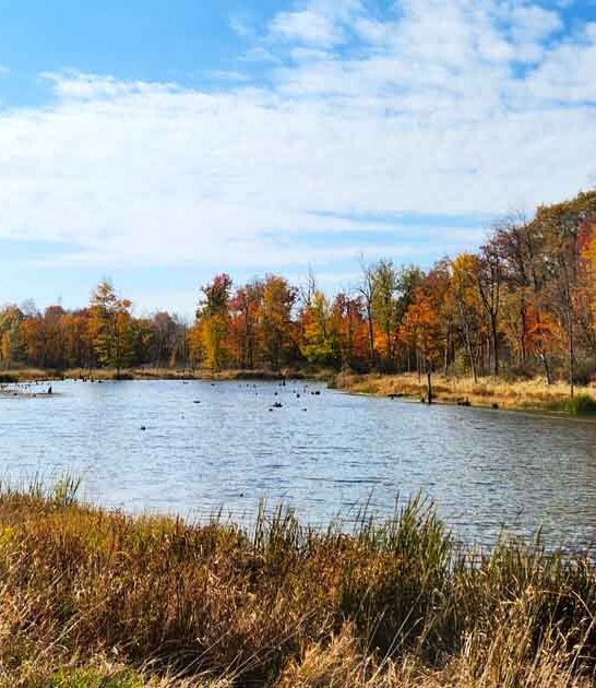 bucket list indiana park ftr