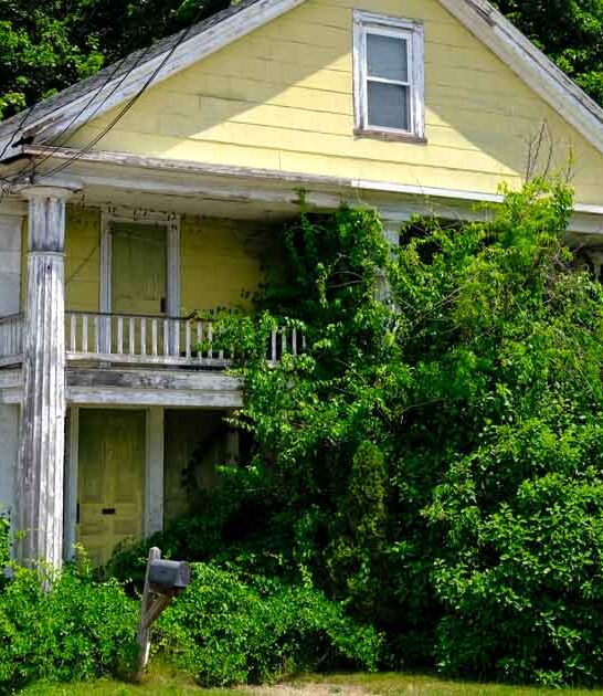 budget town massachusetts retirees ftr