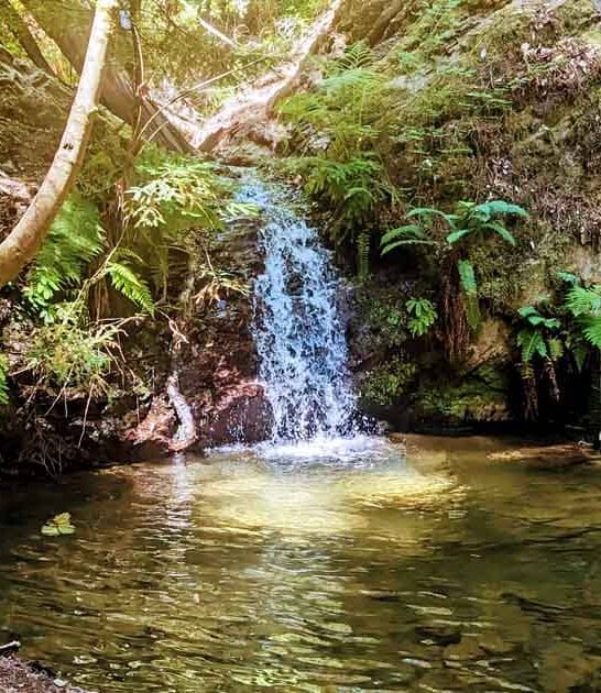 california discover secret park ftr