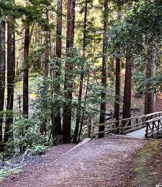 california hidden park gem ftr