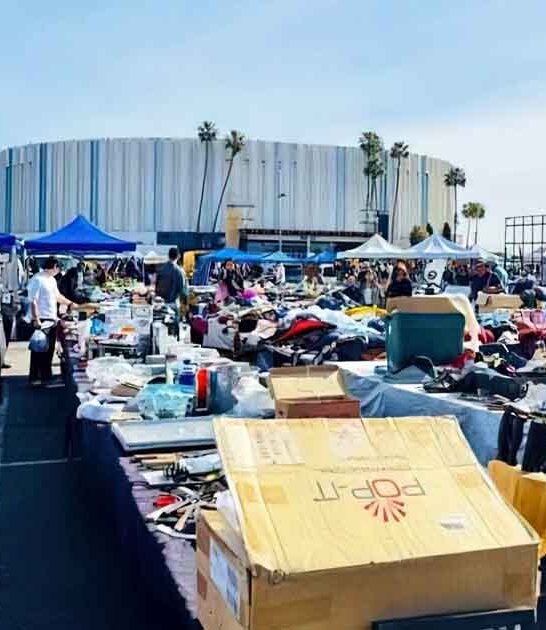 california market true bargain ftr