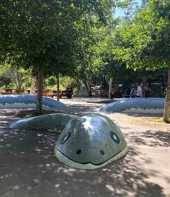 california nature themed playground ftr