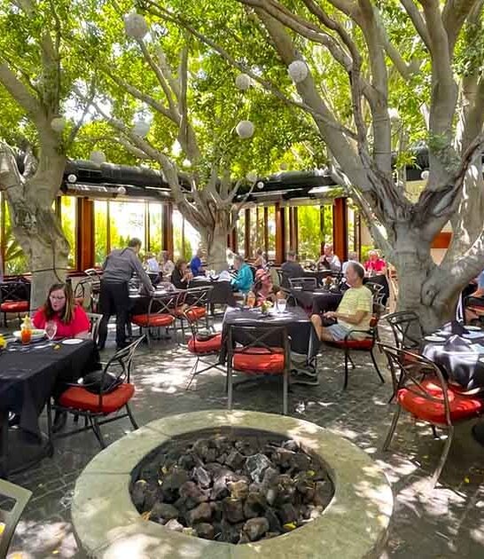 california restaurant tree canopy ftr
