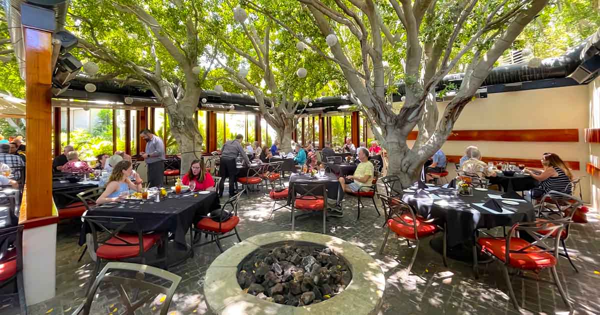 This Dreamy California Restaurant Lets You Eat Under A Stunning Tree Canopy