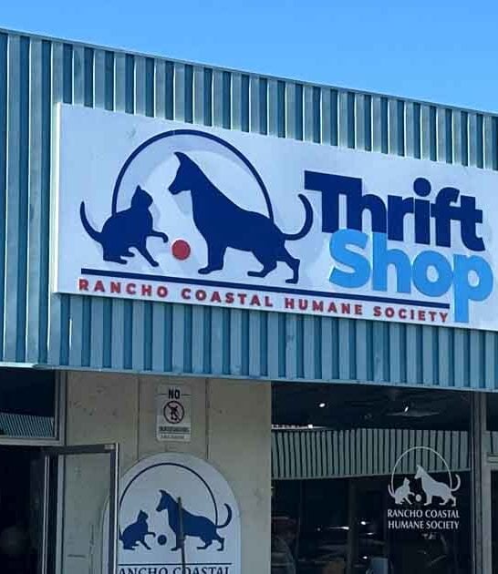 california ultimate thrift finds ftr