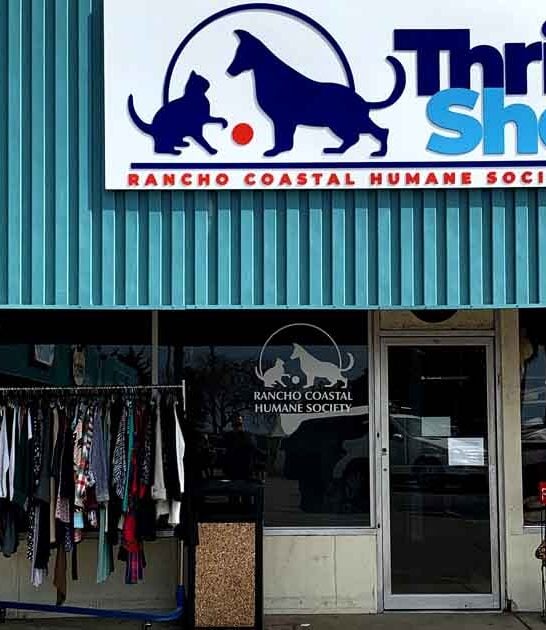 california unbelievable thrift shop ftr