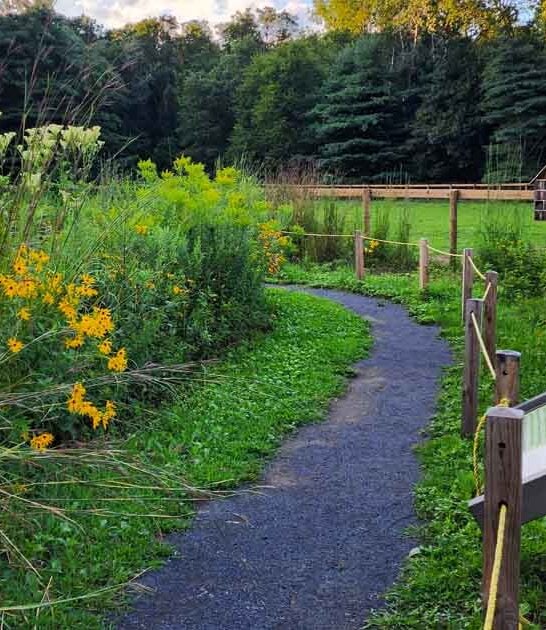 charming connecticut park ftr