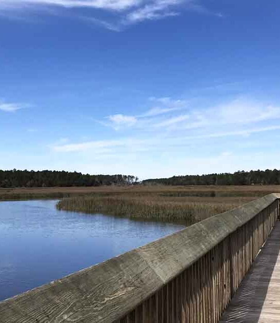 charming georgia wildlife refuge ftr