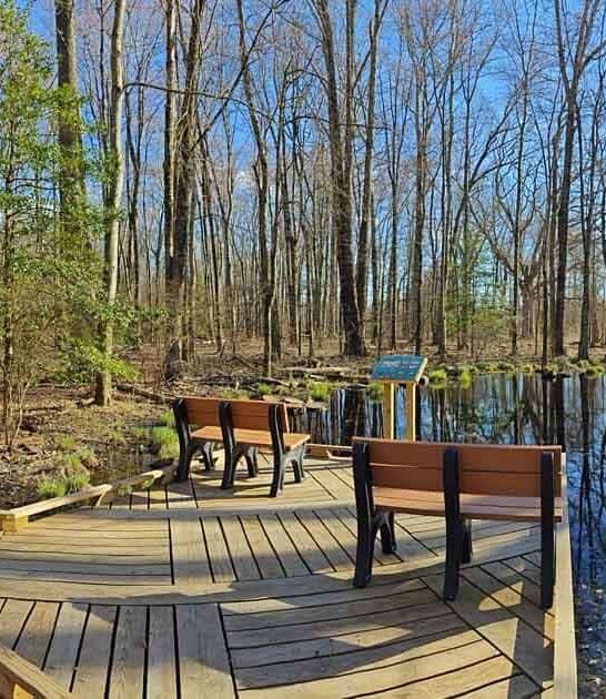 charming wildlife new jersey ftr
