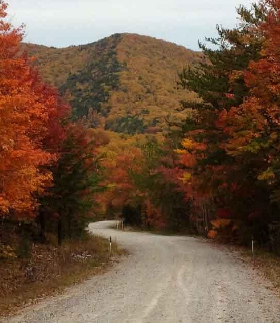 Most People Don&rsquo;t Know About This Charming Wildlife Refuge In Alabama And It&rsquo;s Absolutely Stunning