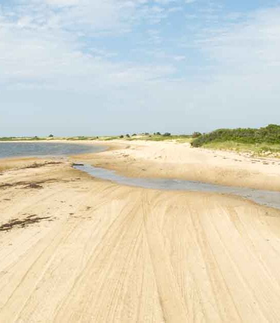 charming wildlife refuge massachusetts ftr