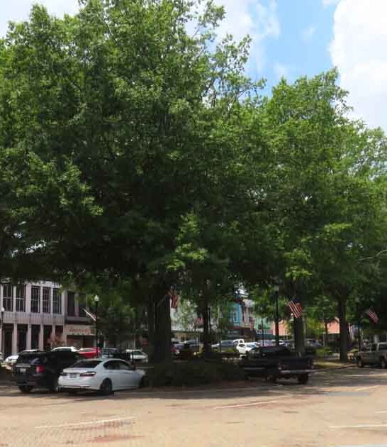 cities underrated south carolina ftr
