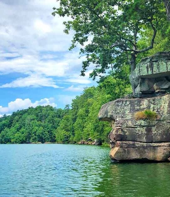 clearest lake alabama ftr