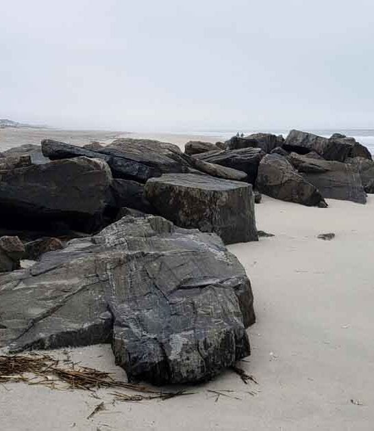 coastal wilderness new jersey ftr