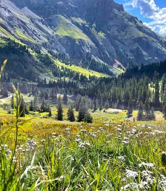 colorado fairytale garden hike ftr