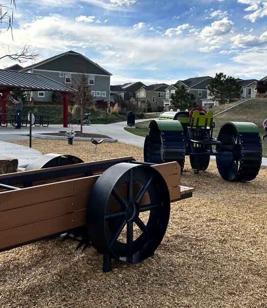 colorado whimsical chicken playground ftr
