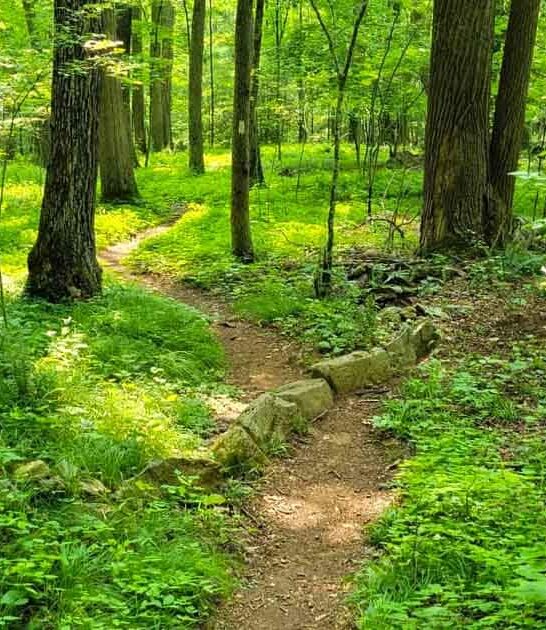 connecticut appalachian trail summit ftr