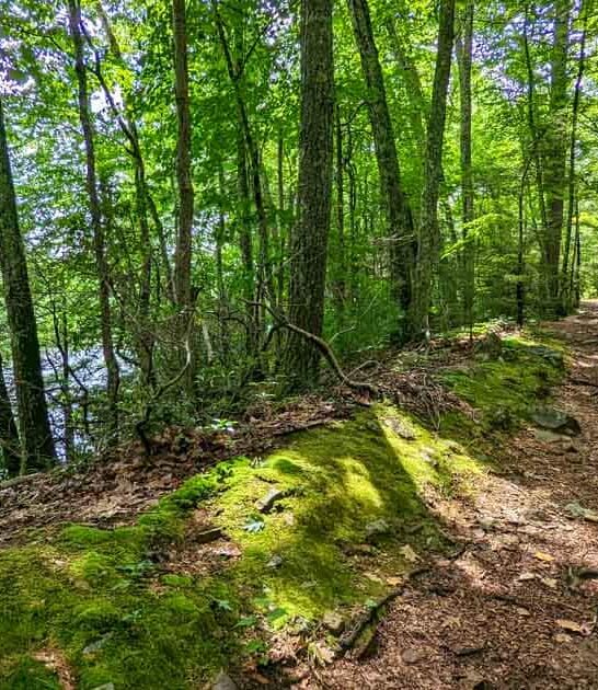 connecticut hidden state park ftr
