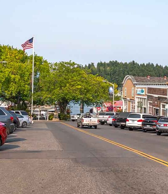 cozy town washington ftr