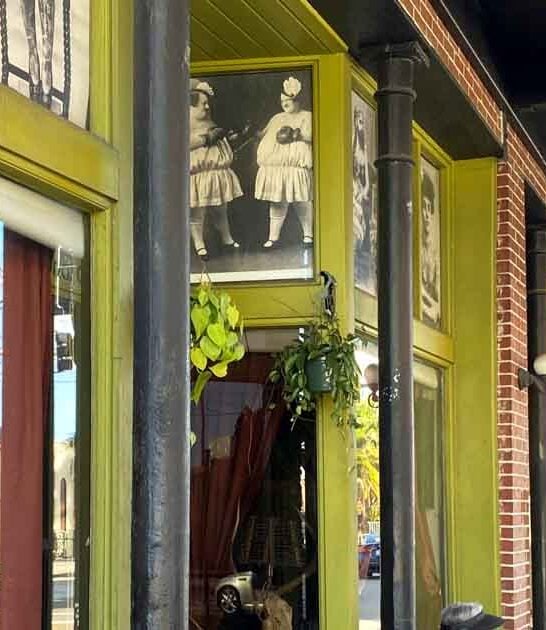 creepy oddities shop florida ftr