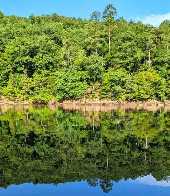 crystal clear alabama lake ftr