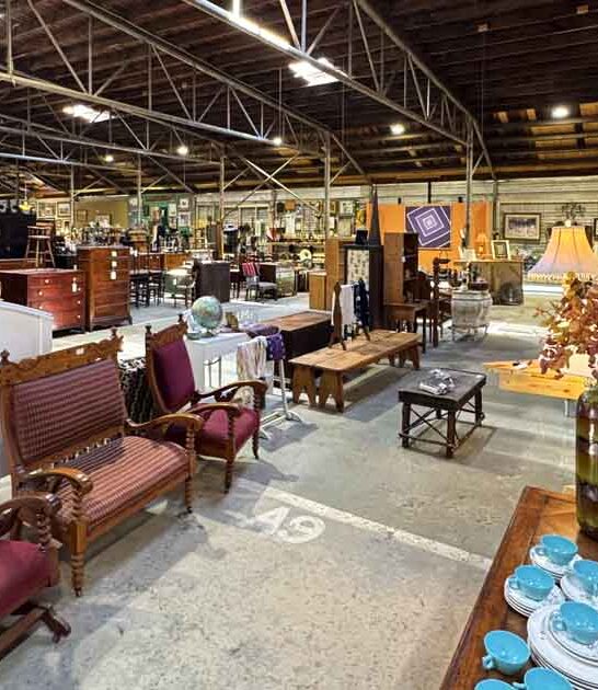 day antique north carolina ftr