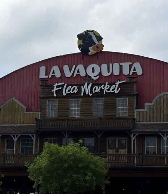 day epic georgia flea ftr