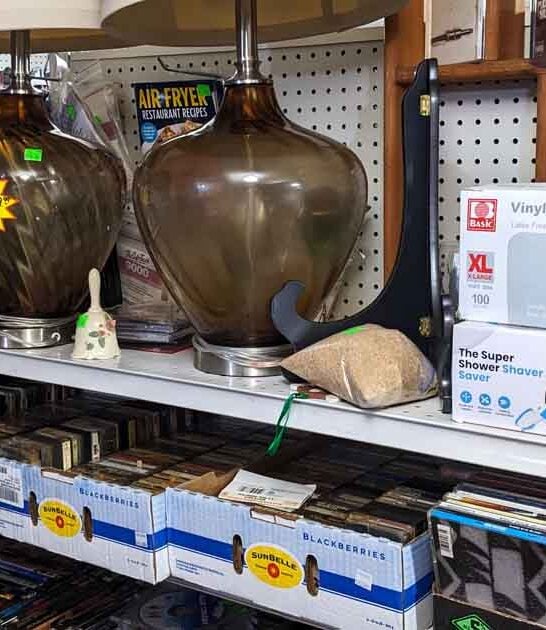 day incredible minnesota flea ftr