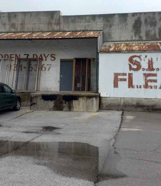 day incredible missouri flea ftr