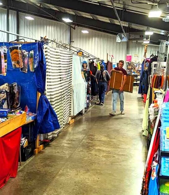 day incredible ohio flea ftr