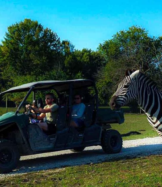 day trip zoo illinois ftr