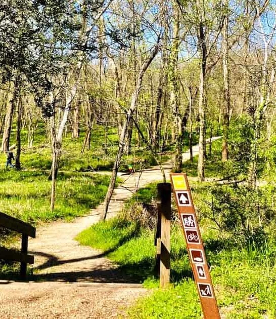 dazzling state park texas ftr