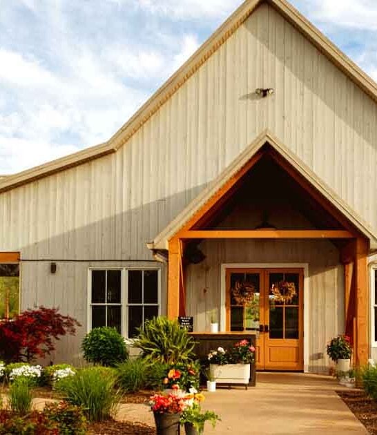 dazzling winery maryland experience ftr