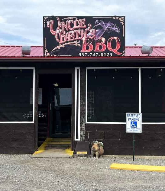 delicious bbq ribs ohio ftr