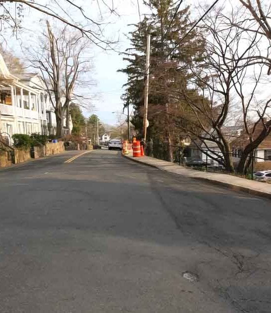 delightful new york town ftr