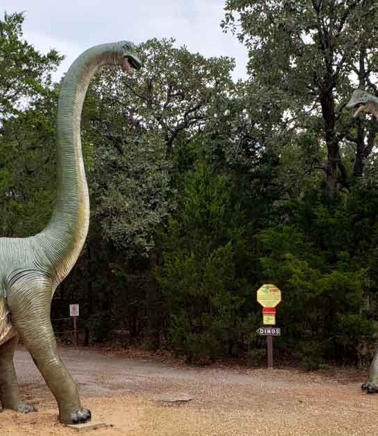 dinosaur themed park texas ftr