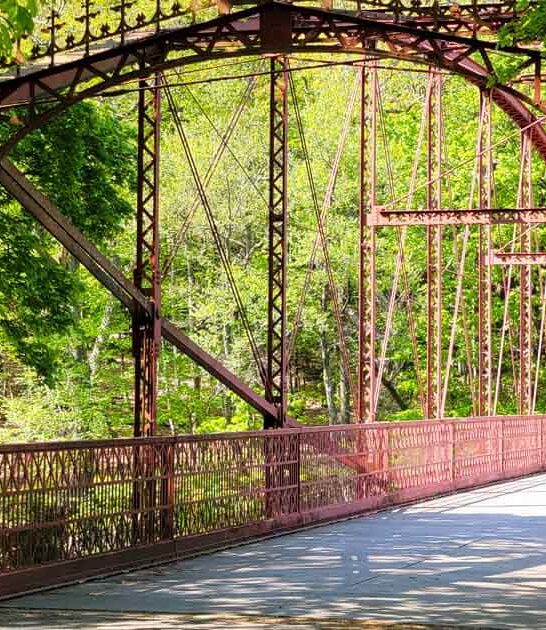 dog friendly park connecticut ftr