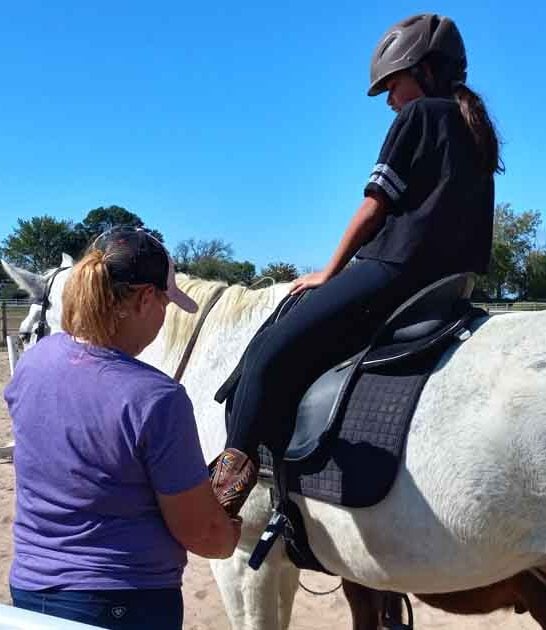 dream texas horse farm ftr