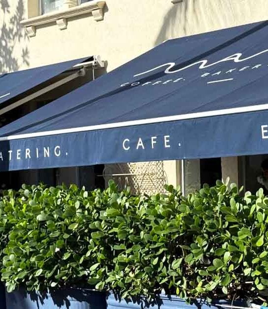 dreamy french cafe florida ftr