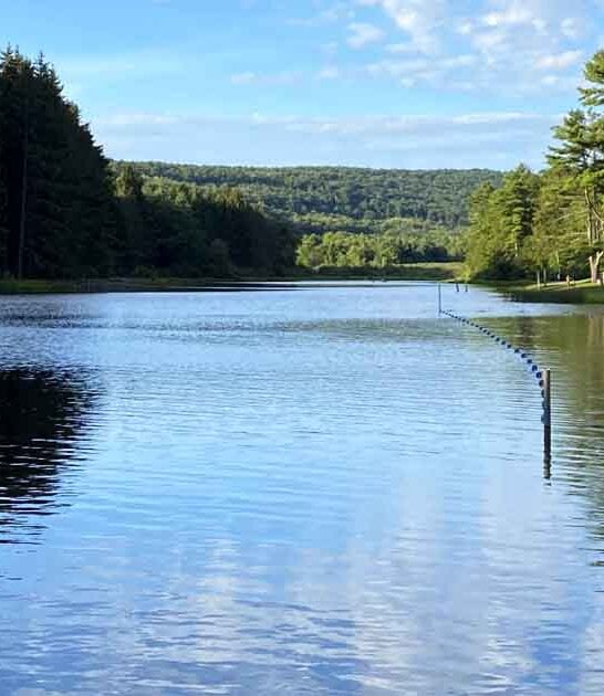 dreamy park maryland heart ftr